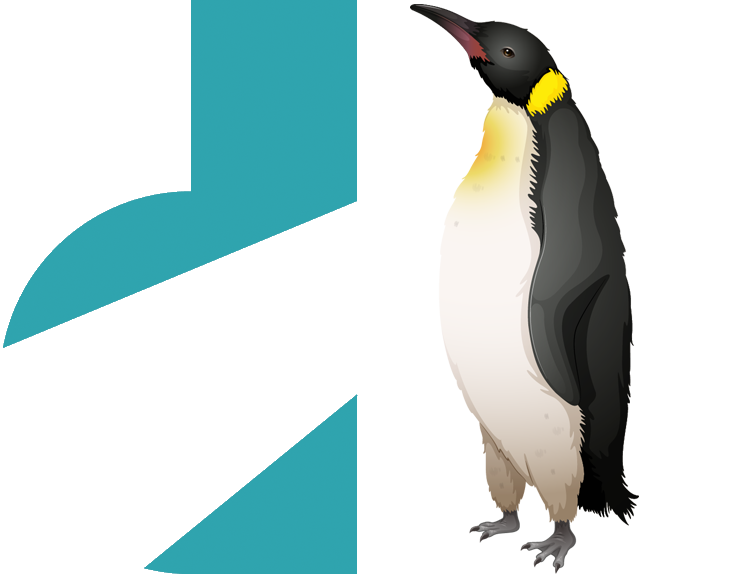 What Does The P Stand For Digital P Media